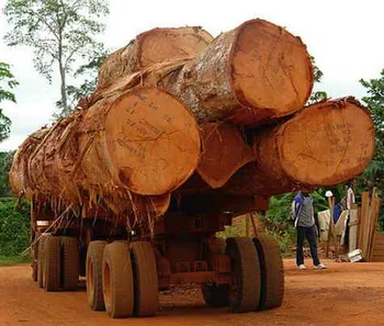 African Hard Wood Timber Logs & Lumber For Sale,West Africa Timber Logs ...