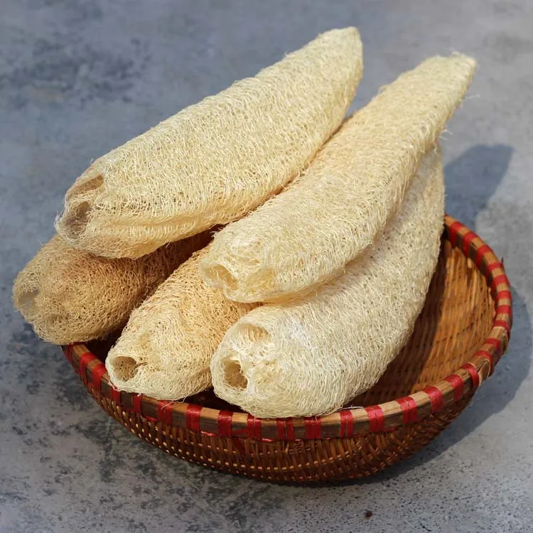 Hight Quality The Cheap Price Luffa Sponges / Loofah - Buy Clean Loofah ...