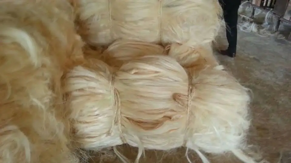 High Quality 100% Natural Raw Sisal Fiber From Kenya - Buy 100% Natural ...