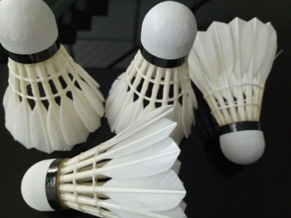 RSL Silver Shuttlecock Badminton - High Stability Duck Feather ...