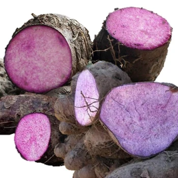 Purple Yam/ube Holiday - Buy Chinese Purple Yam,Purple Yam,Yam Frozen ...