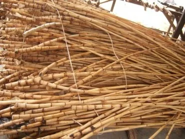 Palasan Rattan - Durable and Versatile RAW RATTAN Materials