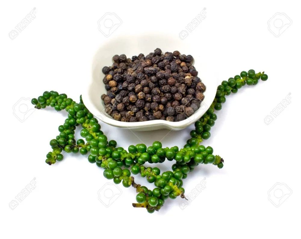 Shop Our Natural Green Peppers - Lada Hijau & Groene Peperkorrels