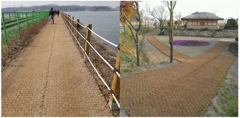 Mechanically Woven Coir Mat - Efficient Erosion Control