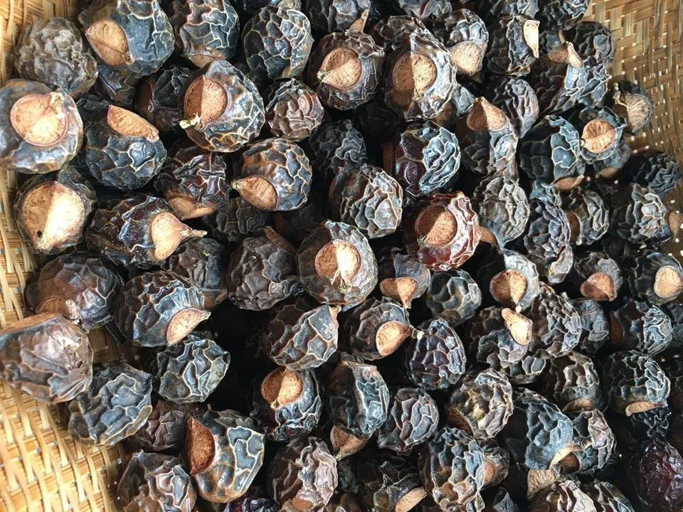 Soap Nuts - Natural & Biodegradable Laundry Cleaner