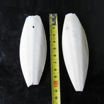 Whole Sale Squid Bone_ Cuttle Fish Bone_cuttlebone_squid Bone For ...