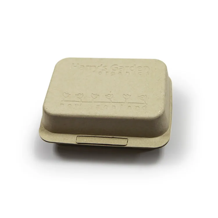 Eco-friendly Sugar Cane Pulp Boxes - Biodegradable Packaging