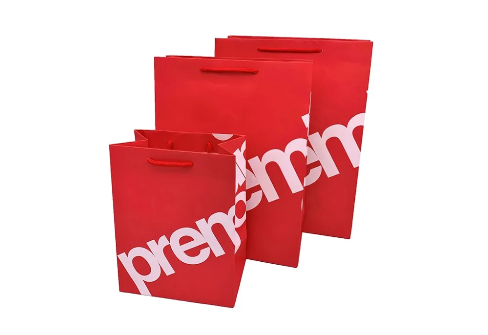 Fsc Certified Paper Bag Eco-friendly - Buy Biodegradable Paper ...