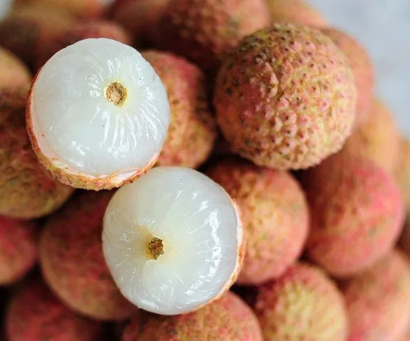 Dried Lychee - Sweet, High Quality Freeze Dried Lychee