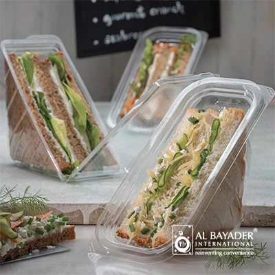 Pet Wedge Boxes - Disposable Sandwich Packaging Solutions