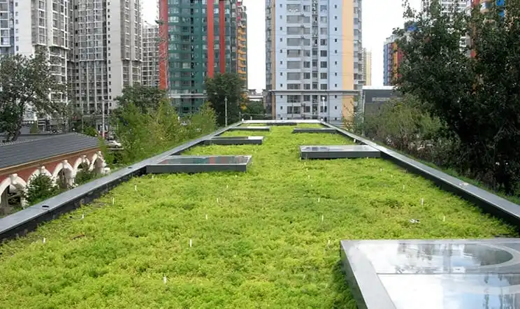Green Roof Trays - Modular System for Roof Garderns