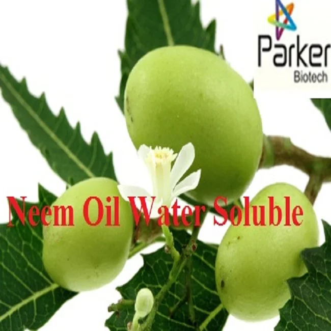 100% Export Grade Neem Tonic - Buy 100% Special Grade Neem Tonic ...
