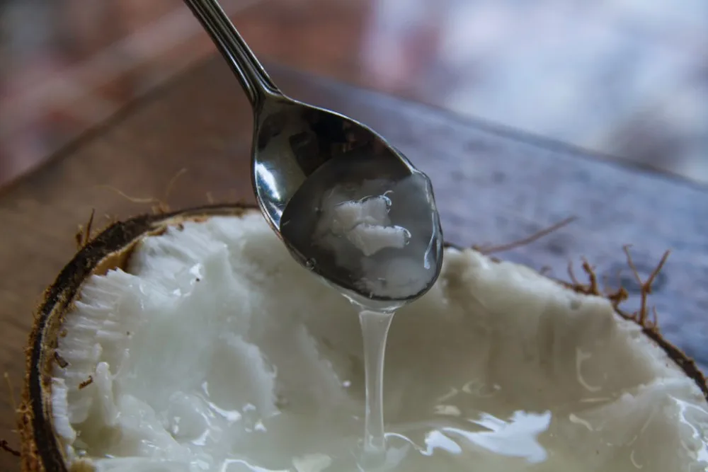 Makapuno Coconut - Sweet, Creamy, and Fresh from Vietnam
