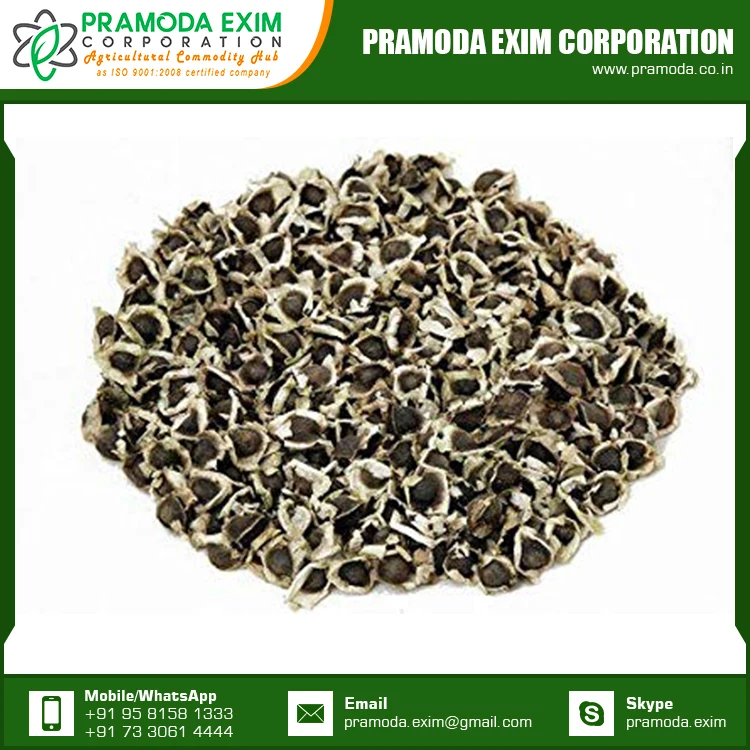 Best Quality Organic Moringa Seeds Available At Wholesale Price - Buy ...