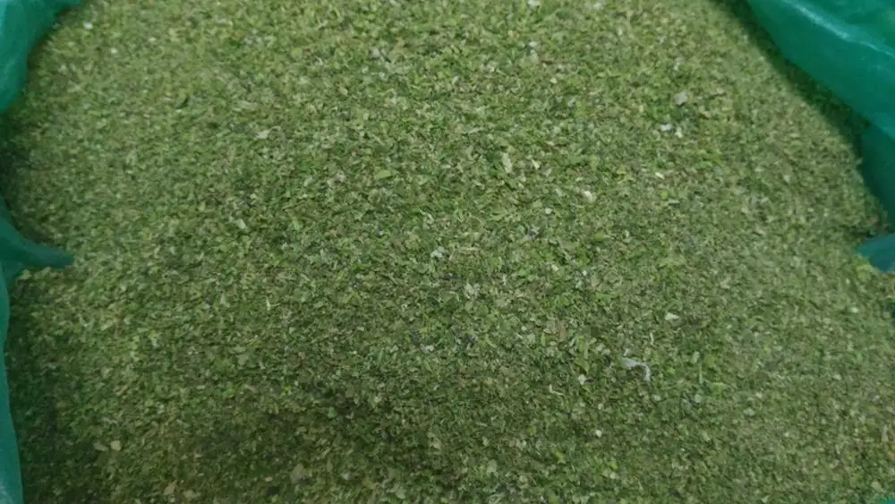 Green Seaweed Powder / Ulva Lactuca / Seaweed Powder - Buy Dried ...