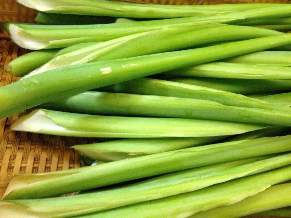 Vietnamese Dried Taro Stem - Buy Dried Taro Stem,Frozen Taro Stem,Price ...