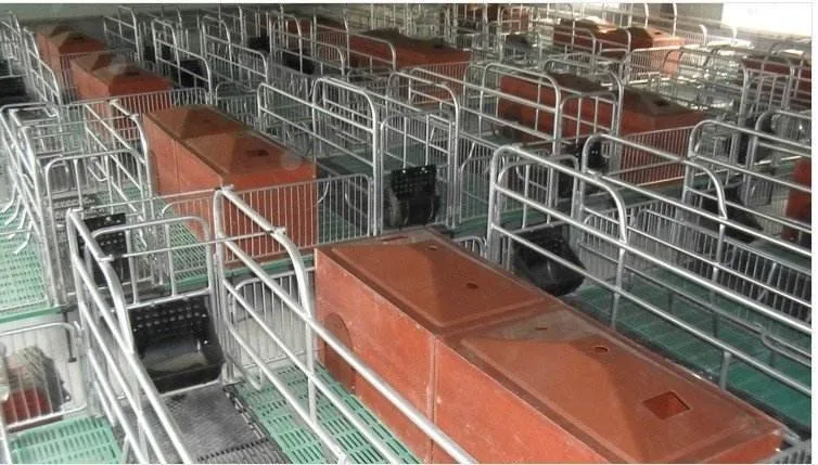 Sow Farrowing Cage For Pig Swine Hog Raising - Buy Farrowing Cage,Sow ...