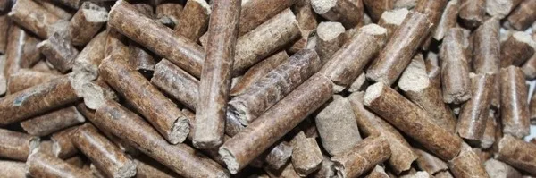 TAPIOCA PELLETS for Pig and Cattle - GIA GIA NGUYEN CO.,LTD