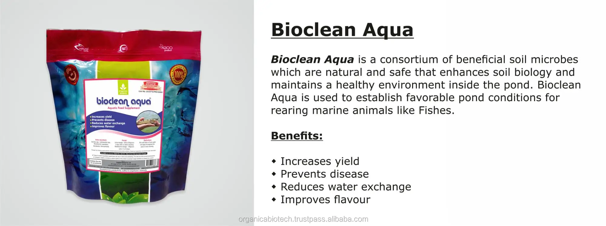 Microbial Feed Additives Bacillus Subtilis for Shrimps