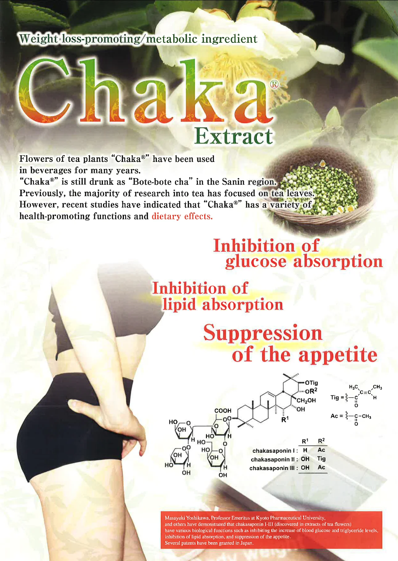 Japanese High Quality Tea Flower (Chaka) Extract Raw Material Powder ...