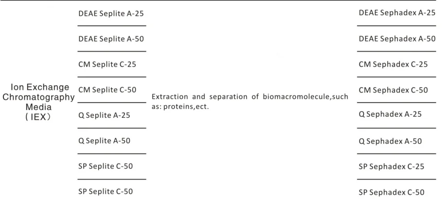 Ion Exchange Chromatography: Principle, Parts, Steps, Uses, 50% OFF