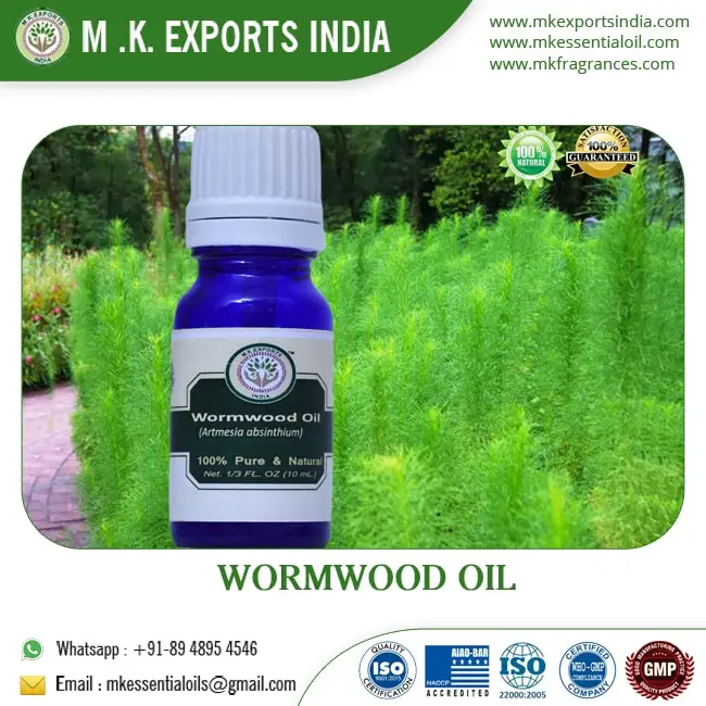 Best Quality Suppliers Of Wormwood Essential Oil - Buy Wormwood Oil ...