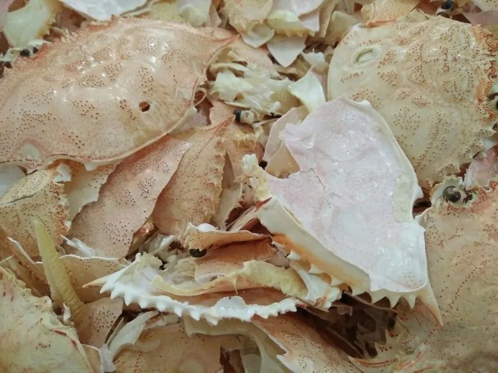 EXPORTING DRIED BEAUTIFUL CRAB SHELL/VIETSEAFARM FROM VIETNAM MANUFACTURE