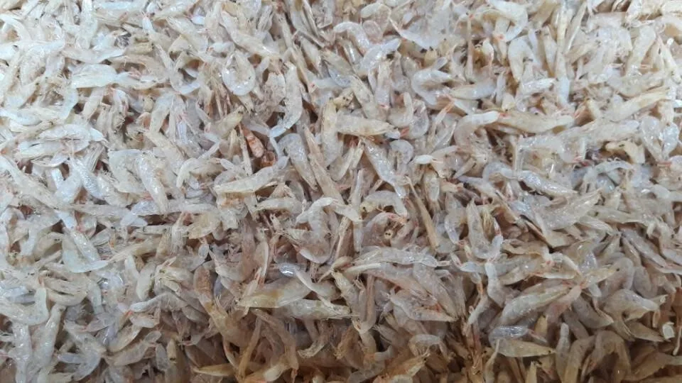 High Quality Dried Baby Shrimp/ Baby Krill - Acetes Japonicus - Buy ...