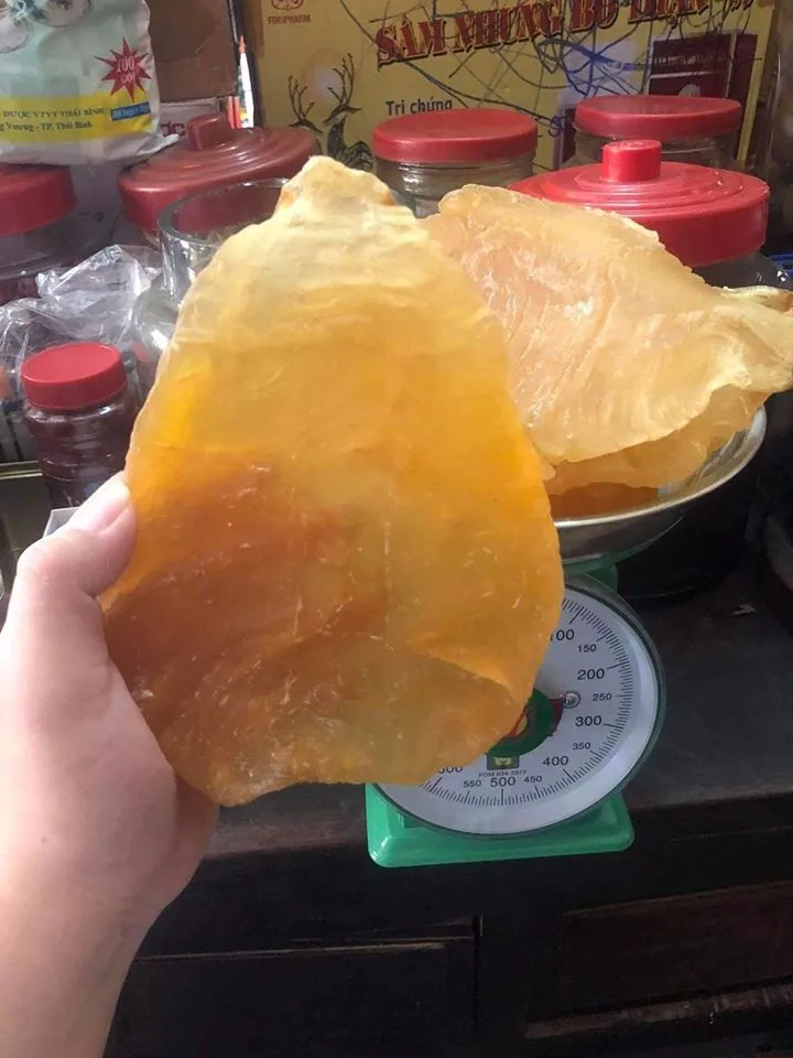 Dried Fish Maw/ Swim Bladder (asap +84376540581) - Buy Dried Fish Maw ...