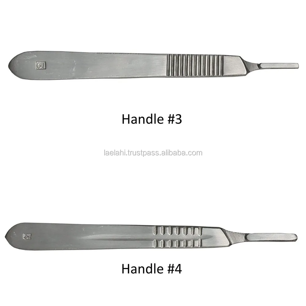 2024 Medical Students For Surgical Dissecting Kit Set / Popular Frog ...