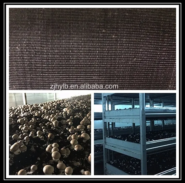 Agaricus Bisporus Growing Nets - Eco-Friendly Mushroom Cultivation