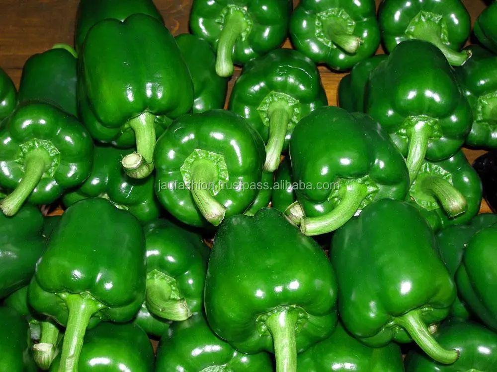 Fresh Capsicum / Quality Fresh Capsicum / Bell Peppers Capsicum - Buy ...
