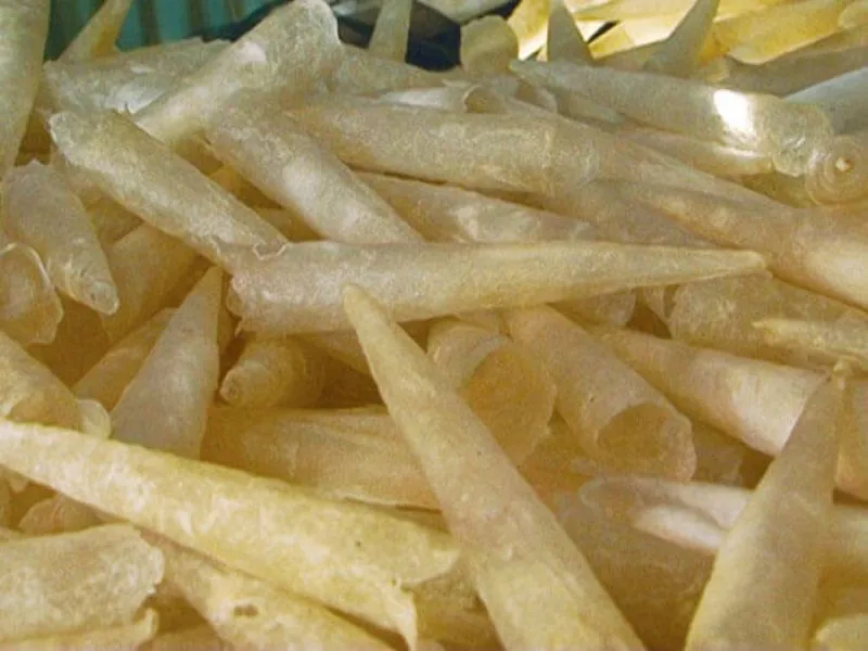 Nile Fish Maw - Organic and Natural Dried Cod Fish Maw