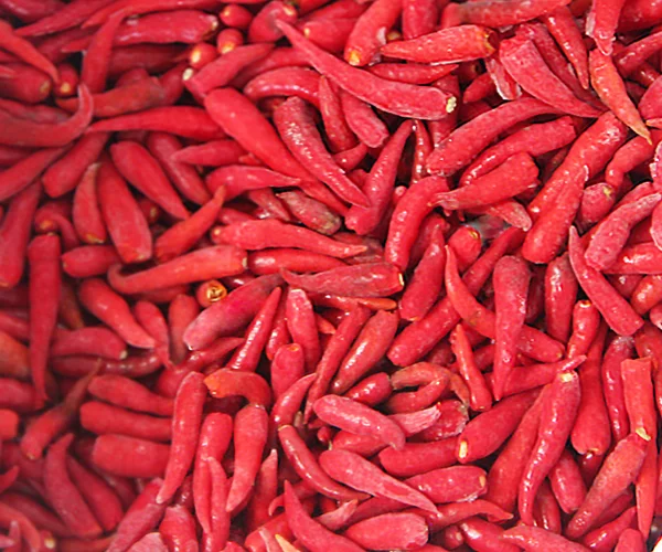 Frozen Red Chili Stem or Stemless - KME Quality