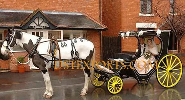 White Tourist Victoria Carriages Beautiful Horse Drawn Carriages ...