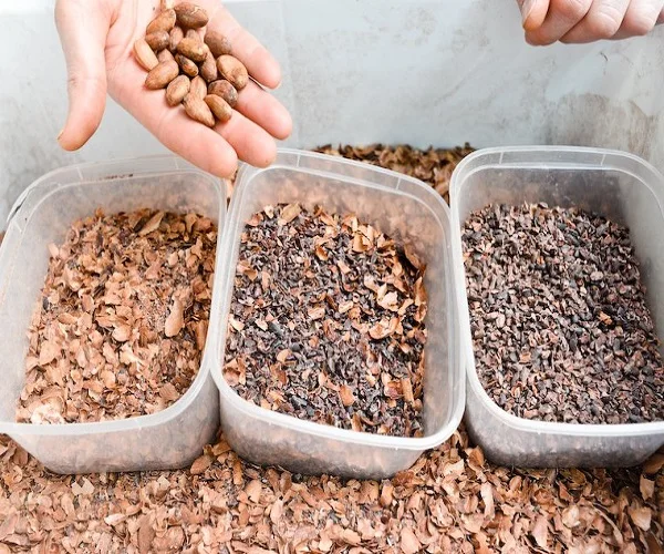 Cocoa Husk/cocoa Bean Pods/cocoa Shell - Buy Cocoa Pods For Sale,Cocoa ...