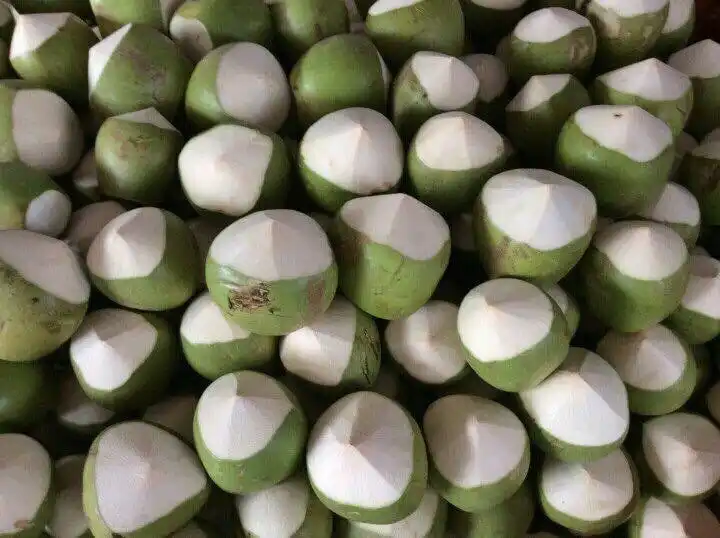 PEEL FRESH COCONUT/ COCONUT JUICE/ COCONUT FRUIT - WHATSAPP ...