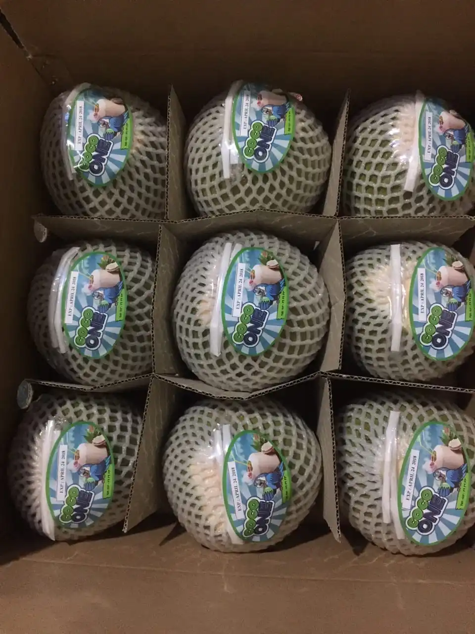 PEEL FRESH COCONUT/ COCONUT JUICE/ COCONUT FRUIT - WHATSAPP ...