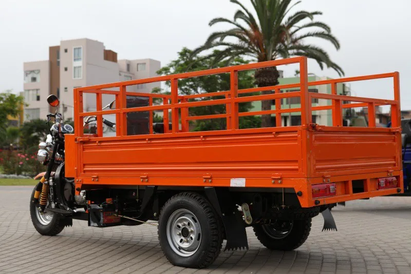 Motorized Gas Powered Three Wheel Motorcycle/cargo Tricycle