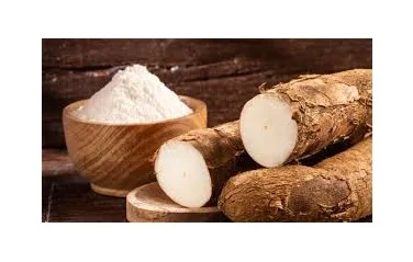 Vietnam Factory Tapioca Extracted Root Starch - Buy Cassava Root Starch ...