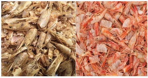 Shrimp Shell Powder - Chitin, Chitosan, Glucosamine Fertilizer