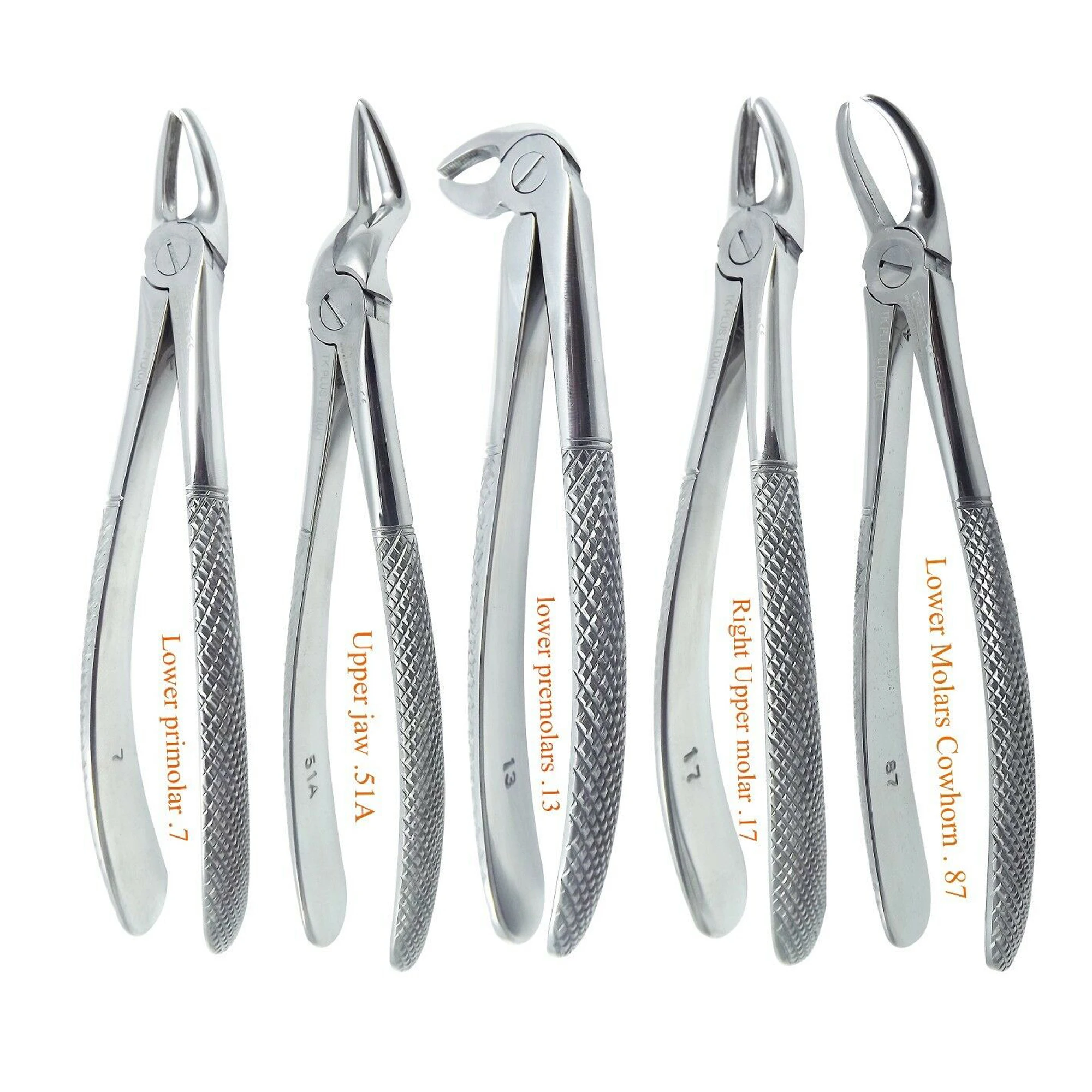Shop Our Selection of Dental Forceps - Basic & Advanced