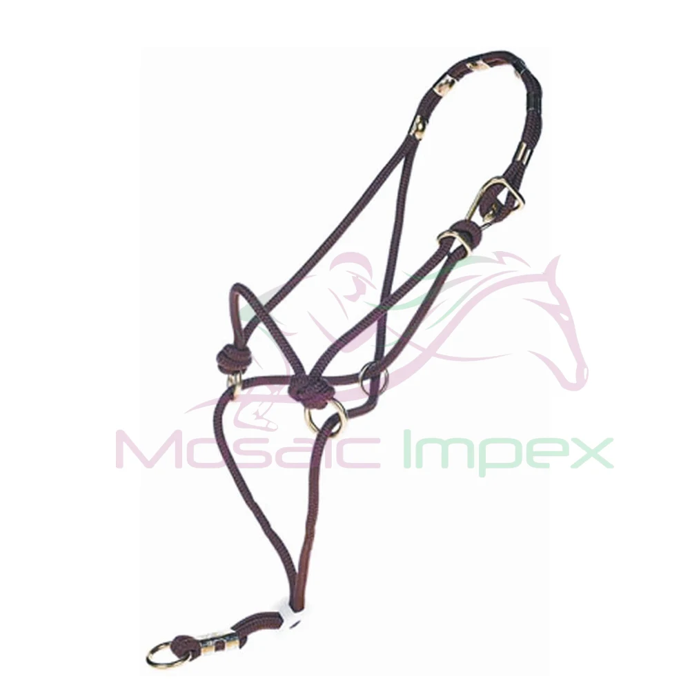 Wholesale High Quality Horse Riding Rope Halter Colorful Horse Rope ...