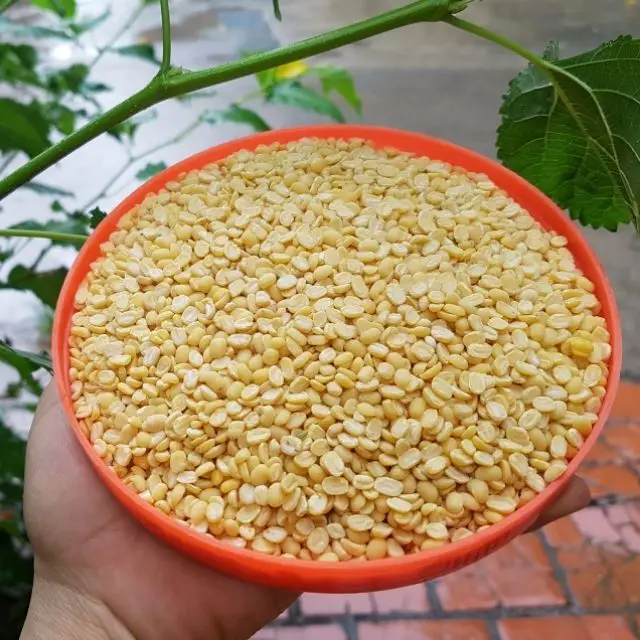 Mung Bean Peeled Without Skin From Vietnamese,High Quality Yellow Mung ...