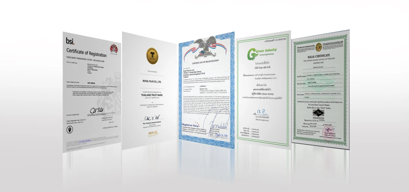 Premium Coconut Milk Drink With Flavors With Nata De Coco "mabu Coco ...