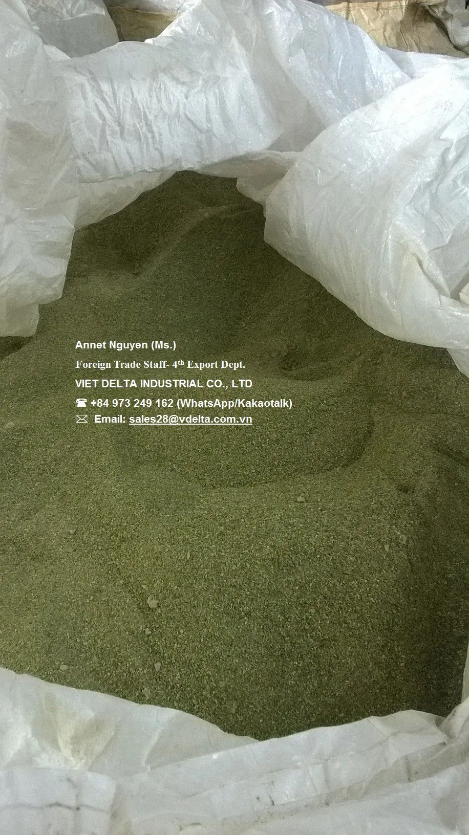 Rumput Laut Ulva Laktuca Kering/selada Laut Rumput Laut/ms.thi Nguyen ...