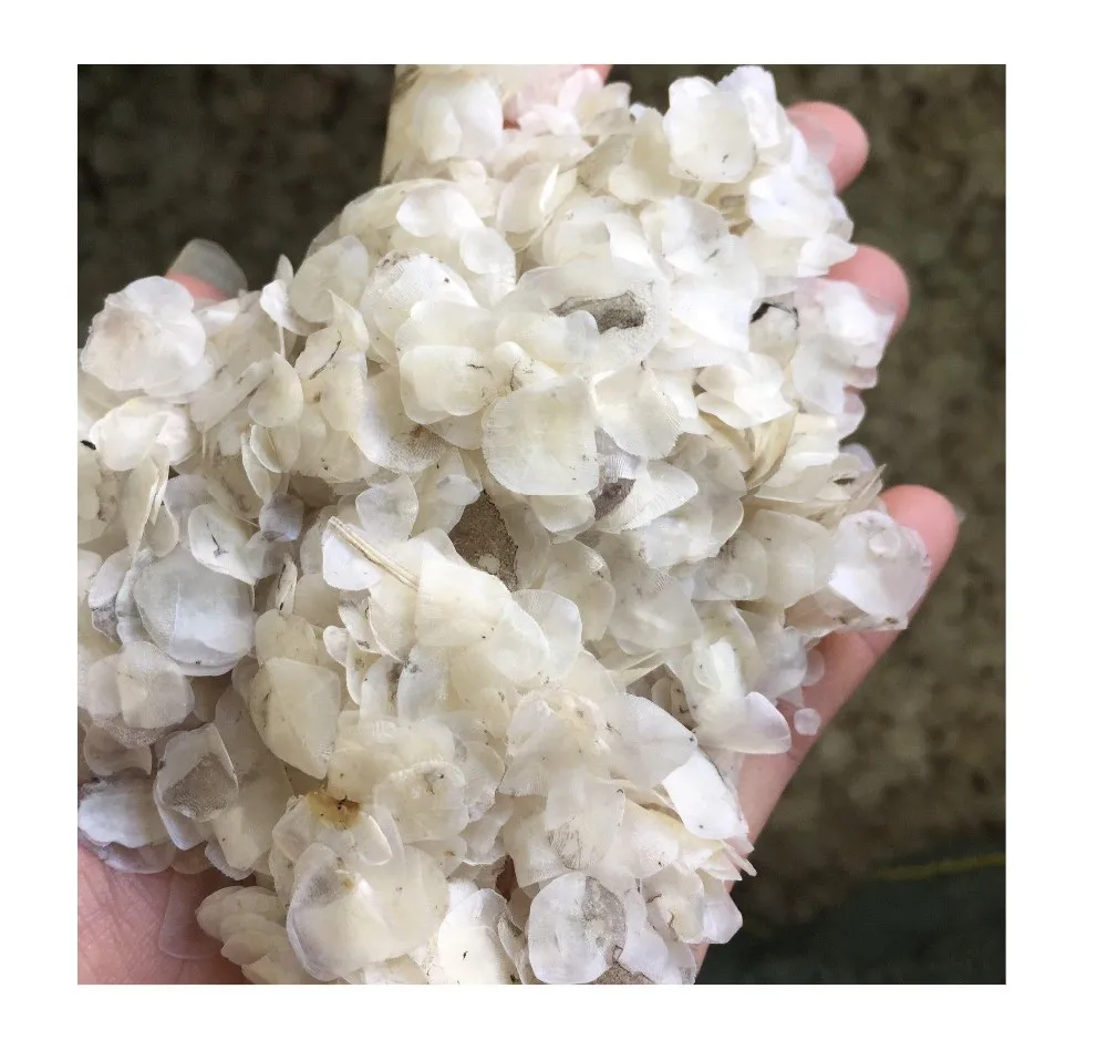 Dried Fish Scales / Tilapia / Barramundi / Raw / Ossein / Fish Collagen ...