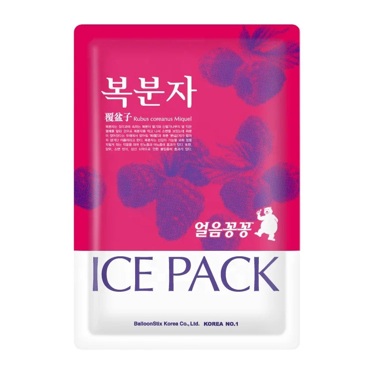 Reusable Ice Pack Blu Ice Regular Cold Pack For Transport Of Chilled ...