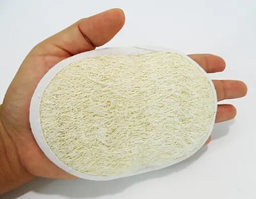 Raw Dried Whole Loofah - Natural Bath Shower Tool