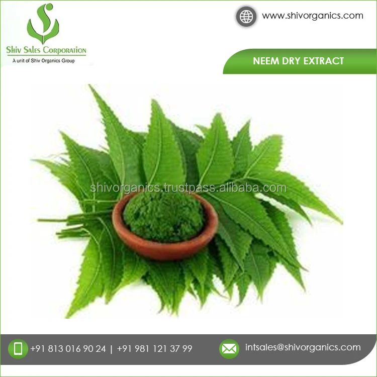 Leading Indian Bulk Exporter Selling Iso Certified Best Food Grade 100% ...